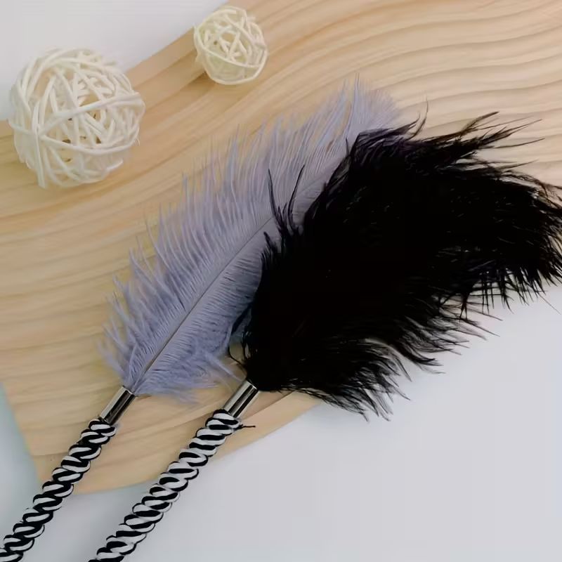 Raven’s Trace Ritual Feather – Sensory Kink Tool for Ceremony ...